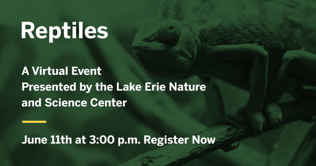 Welcome to the Lakewood Public Library | Lakewood, Ohio